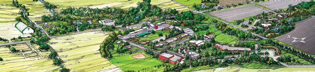 The 20 Best Private Special Needs Schools in the U.S. | Special ...